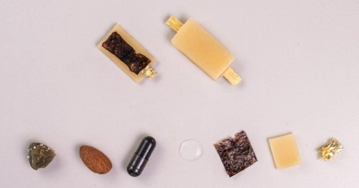 Scientists in Italy invented the first edible rechargeable battery ...